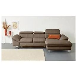 Ecksofa COTTA "Driver L-Form" Sofas Gr. B/H/T: 268cm x 73cm x 169cm, Leder BEEFY, Recamiere rechts, mit Kopfteilverstellung-mit Bettfunktion und Bettkasten, grau (stone) inkl. Kopfteilverstellung, wahlweise mit Bettfunktion