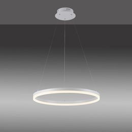 Pendelleuchte Paul Neuhaus "TITUS" Lampen Gr. Ø 60 cm, weiß Pendelleuchten und Hängeleuchten LED, dimmbar, Simply Dim, Memory, nach Trennung vom Netz