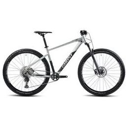 Mountainbike GHOST "Kato Pro AL" Fahrräder Gr. 40cm, 29 Zoll (73,66cm), grau (hellgrau-schwarz) für Damen und Herren, Kettenschaltung