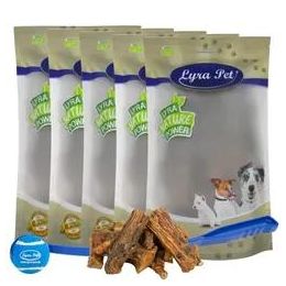 5 kg LYRA PET® Ochsenschwanz 1 - 7 cm + Ballschleuder