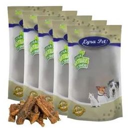 5 kg LYRA PET® Ochsenschwanz 1 - 7 cm