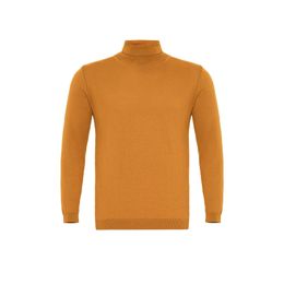 Dandalo Pullover Herren Gr&ouml;&szlig;e XL karamell