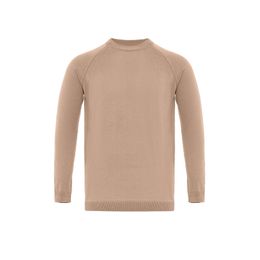 Dandalo Pullover Herren Gr&ouml;&szlig;e M beige