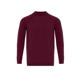 Dandalo Pullover Herren Gr&ouml;&szlig;e S bordeaux