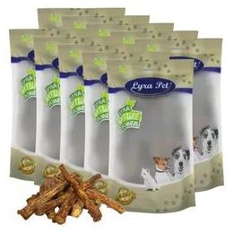 10 kg LYRA PET® Ochsenschwanz natur