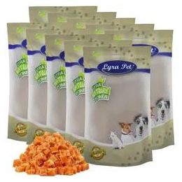 10 kg LYRA PET® Hühnerfleischwürfel mit Fisch