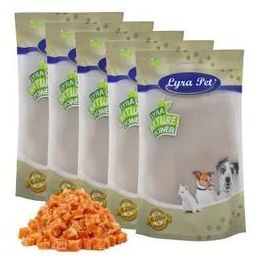 5 kg LYRA PET® Hühnerfleischwürfel mit Fisch