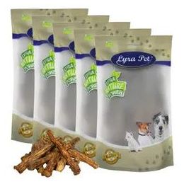 5 kg LYRA PET® Ochsenschwanz natur