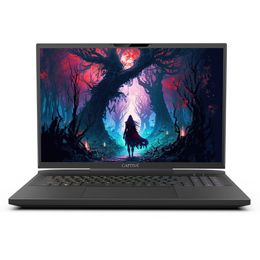 Captiva Gaming-Notebook "Highend Gaming I81-480" Notebooks Gr. 16 GB RAM 2000 GB SSD, Core i9, Microsoft Windows 11 Home (64 Bit), schwarz