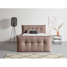 Boxbett Andas "Kederleicht", grau (taupe), B:175cm L:226cm, Komplettbetten, Boxspringbett, inklusive Fußteil, Bettkasten & Topper, in 4 Breiten und 2 Härtegraden