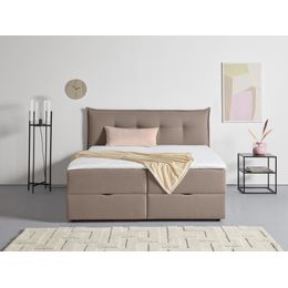 Boxbett Andas "Kederleicht", grau (taupe), B:195cm L:213cm, Komplettbetten, Boxspringbett, inklusive Bettkasten & Topper, in 4 Breiten und 2 Härtegraden