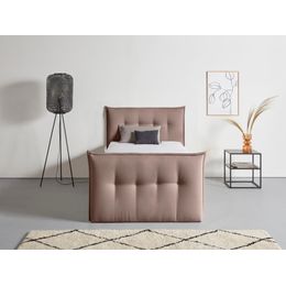 Boxbett Andas "Kederleicht", grau (taupe), B:155cm L:226cm, Komplettbetten, Boxspringbett, inklusive Fußteil, Bettkasten & Topper, in 4 Breiten und 2 Härtegraden