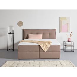 Boxbett Andas "Kederleicht", grau (taupe), B:195cm L:213cm, Komplettbetten, Boxspringbett, inklusive Bettkasten & Topper, in 4 Breiten und 2 Härtegraden