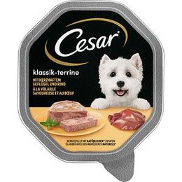 CESAR® Hunde-Nassfutter mit herzhaftem Geflügel & Rind 14x 150,0 g