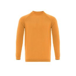 Dandalo Pullover Herren Gr&ouml;&szlig;e XXL orange