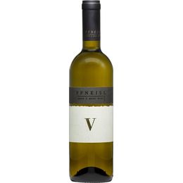 Pfneisl 2022 Viognier trocken