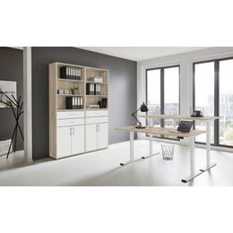 Bmg Möbel - Büromöbel-Set, e-Office Edition Set 20, Schreibtisch höhenverstellbar, 138 cm, Eiche Sonoma / weiß matt - natur