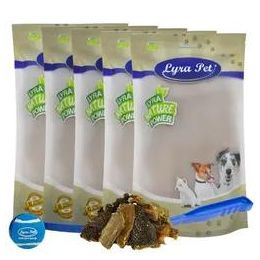 5 kg LYRA PET® Rinderpansen 2 - 10 cm + Ballschleuder