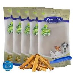 5 kg LYRA PET® Rinderkopfhaut hellbraun, hell + Ballschleuder