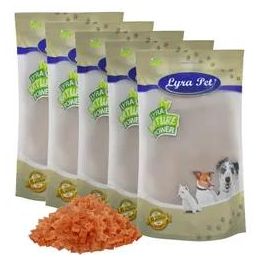 5 kg LYRA PET® Hühnerbrustwürfel