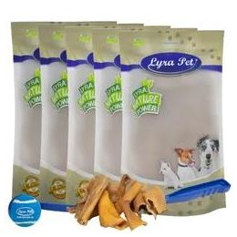 5 kg LYRA PET® Rinderkopfhaut Abschnitte 4 - 8 cm + Ballschleuder