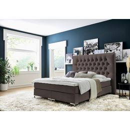 Boxspringbett "Ronja", braun, B:168cm L:216cm, Bezug Bett: Samtvelours (100% Polyester);Bonnell-Federkernmatratze: Jersey (100% Polyester);Topper: Jersey (100% Polyester), ATLANTIC HOME COLLECTION, Komplettbetten, Boxspringbett, mit Topper und extra hohem Kopfteil