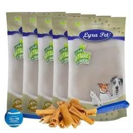 5 kg LYRA PET® Rinderkopfhaut Abschnitte 1 - 7 cm + Ballschleuder