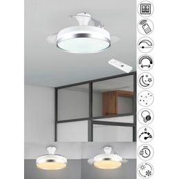 LED Deckenleuchte Trio LEUCHTEN "LINDBERG Deckenventilator mit Beleuchtung, Rotor einklappbar, 6 Stufen" Lampen Gr. Ø 100,0 cm Höhe: 31,0 cm, grau (dunkeltitanfarben weiß) LED Ventilator mit Fernbedienung dimmbar Memory Nachtlicht Starlight