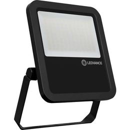 LEDVANCE FL PFM 80 W 4000 K SYM 100 BK 422520 LED-Flutlichtstrahler 80 W Neutralweiß