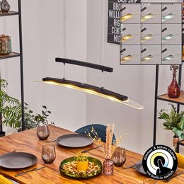 hofstein Casalino Pendelleuchte LED Schwarz, Transparent, Klar, 1-flammig