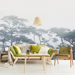 Bilderwelten Fototapete Baumkronen im Nebel - Vliestapete nach Ma&szlig; Wald B&auml;ume Natur Wohnzimmer Schlafzimmer Bad Badezimmer K&uuml;che Flur Esszimmer Grau