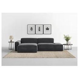 Ecksofa Trendmanufaktur "Braga, mit hochwertigem Kaltschaum, L-Form, in Cord erhältlich" Sofas Gr. B/H/T: 275cm x 72cm x 160cm, Breitcord RIBBON, Recamiere links, grau (anthrazit) modernes Sofa, Couch mit hohem Sitzkomfort, 27572160 cm (BHT)