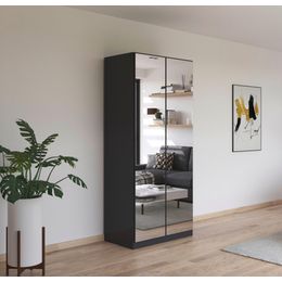 Drehtürenschrank Rauch "Reflect" Schränke Gr. B/H/T: 91 cm x 210 cm x 54 cm, 2 St., grau (graumetallic) mit Spiegelfront, inkl. praktischer Inneneinteilung