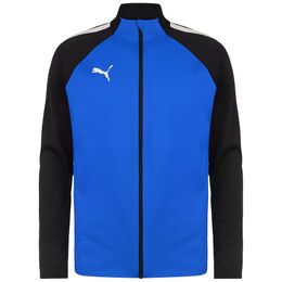 Puma Athletic Jacket 'Team Liga' male Blue size XXL