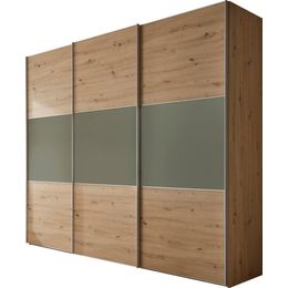 Schwebetürenschrank STAUD "Includo, Made in Germany" Schränke Gr. B/H/T: 249 cm x 222 cm x 68 cm, Basic, 3 St., grün (artisan eiche, salbei)