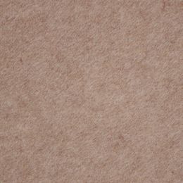 my home Teppichboden "Superflex" Teppiche Nadelfilz, verschiedene Farben & Größen Gr. B/L: 200 cm x 350 cm, 4 mm, 1 St., beige Teppichboden