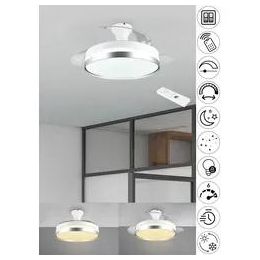 LED Deckenleuchte Trio LEUCHTEN "LINDBERG Deckenventilator mit Beleuchtung, Rotor einklappbar, 6 Stufen" Lampen Gr. Ø 100,0 cm Höhe: 31,0 cm, grau (dunkeltitanfarben weiß) LED Ventilator mit Fernbedienung dimmbar Memory Nachtlicht Starlight