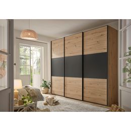 Schwebetürenschrank STAUD "Includo, Made in Germany" Schränke Gr. B/H/T: 280 cm x 222 cm x 68 cm, Premium, 3 St., schwarz (artisan eiche, vulkan)