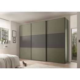 Schwebetürenschrank STAUD "Includo, Made in Germany" Schränke Gr. B/H/T: 298 cm x 222 cm x 68 cm, Classic, 3 St., grün (dekor salbei, vulkan) Mit vier verschiedenen Ausstattungsvarianten