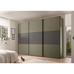 Schwebetürenschrank STAUD "Includo, Made in Germany" Schränke Gr. B/H/T: 280 cm x 222 cm x 68 cm, Premium, 3 St., grün (dekor salbei, vulkan) Mit vier verschiedenen Ausstattungsvarianten