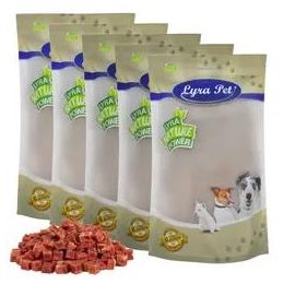 5 kg LYRA PET® Entenfleischwürfel mit Fisch