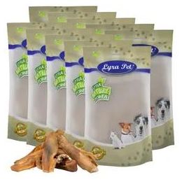 10 kg LYRA PET® Rinderkopfhaut goldbraun, dunkel