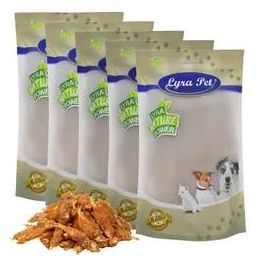 5 kg LYRA PET® Hühner Wrap mit Fisch