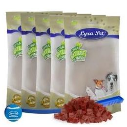 5 kg LYRA PET® Entenbrustwürfel + Ballschleuder