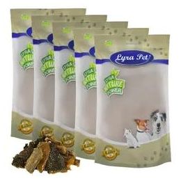 5 kg LYRA PET® Rinderpansen 2 - 10 cm