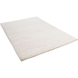 Wollteppich Theko "Maloronga Uni" Teppiche Gr. B/L: 120 cm x 180 cm, 24 mm, 1 St., beige echter Berber Teppich, reine Wolle, handgeknüpft