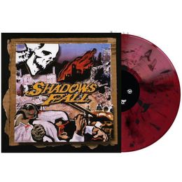 Shadows Fall Fallout from the war LP farbig 0154450