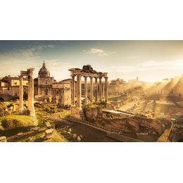 Komar Vliestapete "Forum Romanum" Tapeten 500x280 cm (Breite x Höhe), Wohnzimmer, Schlafzimmer Gr. B/L: 500 m x 280 m, Rollen:, braun