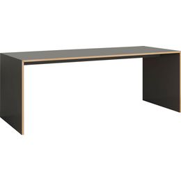 Arbeitstisch Tojo "freistell" Tische Gr. B/H/T: 160 cm x 74 cm x 80 cm, grau (anthrazit) Holz-Schreibtische Schreibtisch Breite 160 cm