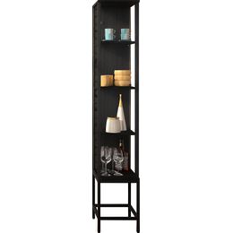 Fif Möbel Vitrine FIF MÖBEL "STEP" Schränke Gr. B/H/T: 31,5 cm x 176 cm x 32,7 cm, Ohne Beleuchtung, Schwarz (Holzoptik), 1-türig, 4 Fächer, schwarz